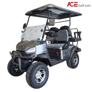 Quality EV Golf Cart for sale
