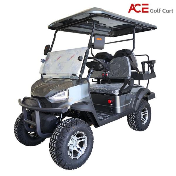 Quality EV Custom Golf Cart 4000W 4 Passengers Four Wheel Electric Tricycle for sale
