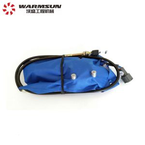 Quality 60009707 24V Solenoid Valve Coil 3776850 Excavator Electric Parts for sale