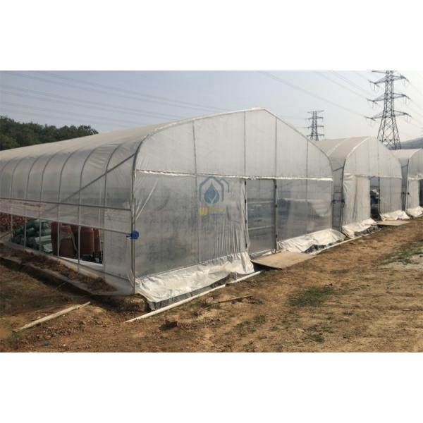 Quality Customized Size Tunnel Type Greenhouse Agricultural Solar Dryer Greenhouse Durable for sale