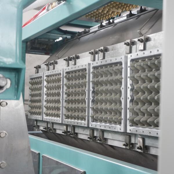 Quality Advanced paper pulp moulding biodegradable egg tray machine production line with for sale