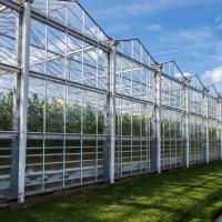 Quality Hydroponic Growing System Agricultural Solar Glass Greenhouse For Vegetables for sale