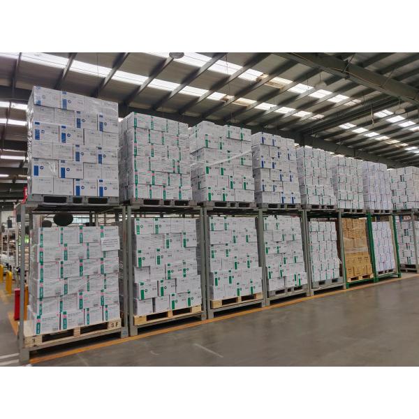 Quality Dustless Latex Free White Disposable Vinyl Gloves for sale