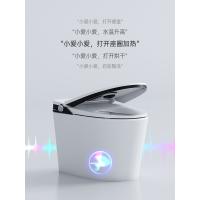 Quality Siphon Flushing Smart Flush Toilet One Piece Intelligent Self Washing for sale
