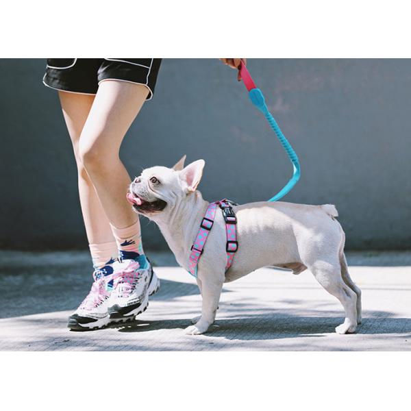 Quality Soft Neoprene Padded Puppy Dog Walking Training Harness Stop Pulling X Type for sale