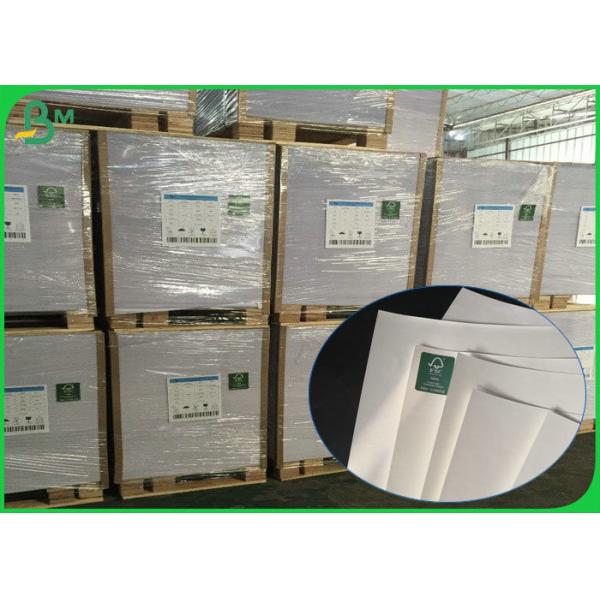 Quality 160gsm + 10gsm Poly Coated Paperboard , Food Grade Paper Roll With Great for sale