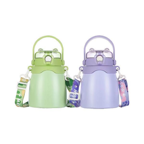 Quality Present Eco Friendly Custom Printed Thermal Double Wall Insulated Stainless Steel Water Bottle with Handle Lid for sale