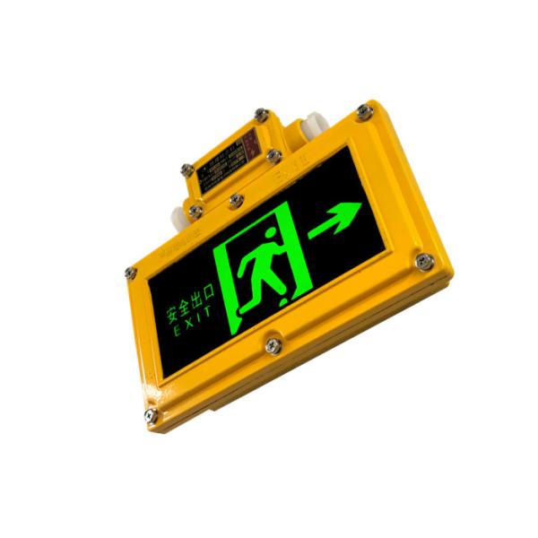 Quality Automatic Lighting Explosion Proof Emergency Light 0.3S Emergency Start for sale