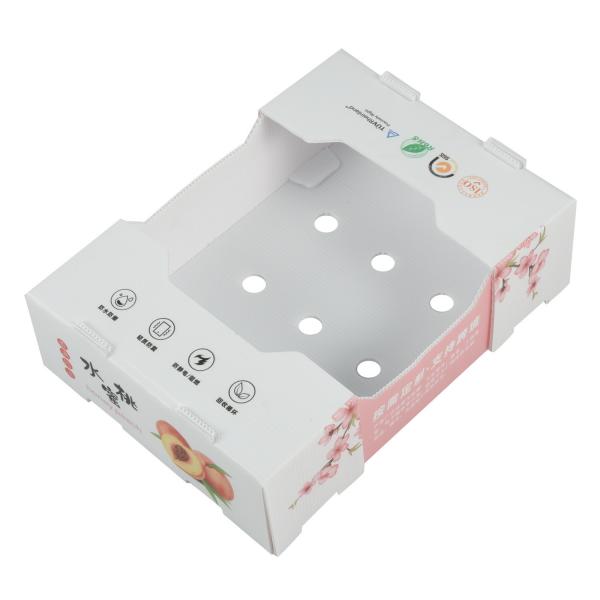 Quality White Rectangular Plastic Corrugated Box Fruit Vegetable Gift Packing Corrugated Plastic Storage Bins for sale