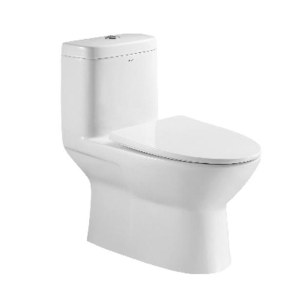 Quality 5L Single Piece Commode White Dual Flush Elongated Standard Height for sale