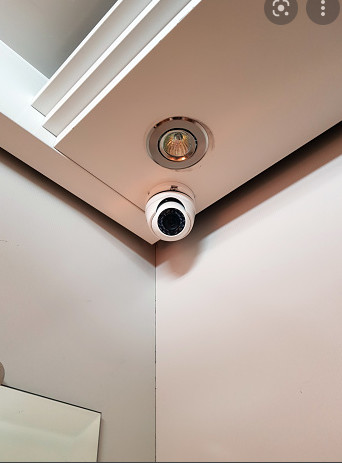 Quality CCTV System Private Keyed Elevator Round Handrail 1600KG 4 Passenger Lift for sale