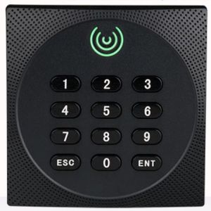 Quality 125Khz / 13.56Mhz Access Control RFID Card Reader Standalone Pin Card for sale
