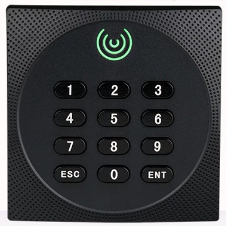 Quality 125Khz / 13.56Mhz Access Control RFID Card Reader Standalone Pin Card for sale