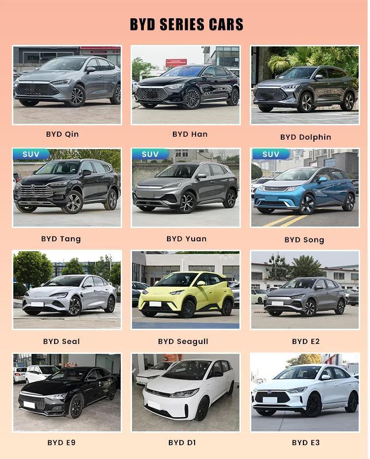 Geely Zeekr 009 We Awd Super Electric MPV Car New Energy Vehicle