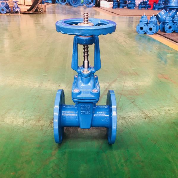 Quality Rising Stem Flange Gate Valve DN40-DN1200 Ductile Iron Valve for sale