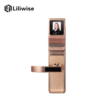 Quality Facial Recognition Electronic Front Door Lock With Key Fingerprint Password for sale