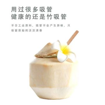 Quality Eco Friendly Disposable Bamboo Straws Reusable Drinking Straws Juice Usage for sale