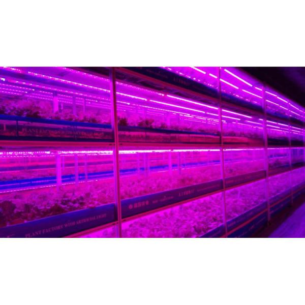 Quality Greenhouse Agriculture Iot Vertical Factory For Modern Agriculture for sale