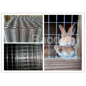 Quality Electro Welded Galvanized Steel Hardware Cloth For Rabbit Animal Fence for sale