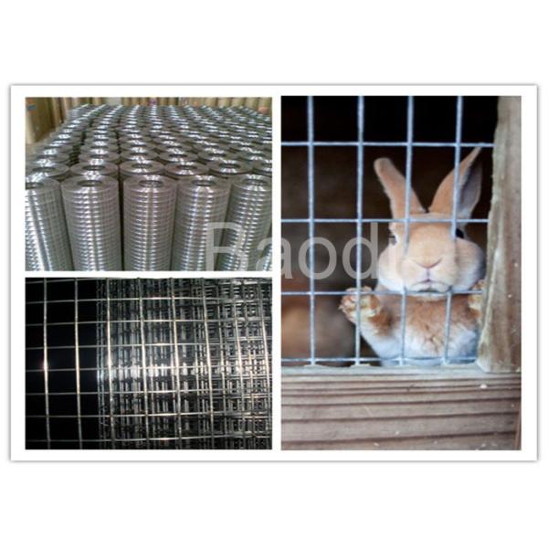 Quality Electro Welded Galvanized Steel Hardware Cloth For Rabbit Animal Fence for sale