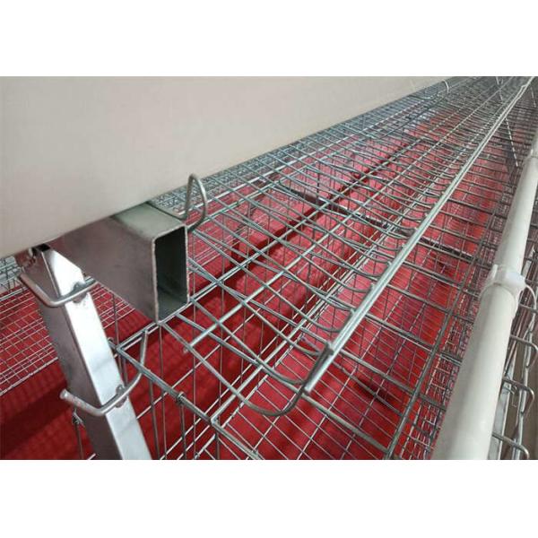 Quality Stepped H Type Layer Cage 490mpa / Chicken Egg Layer Cages 56cm width for sale