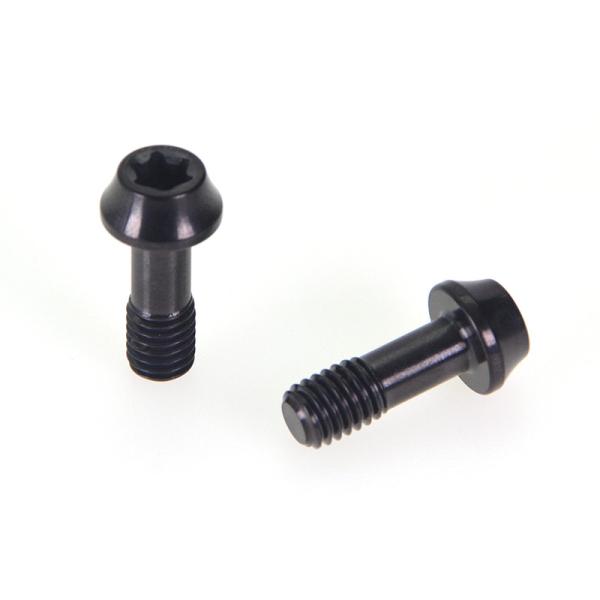 Quality Black PVD Stainless Steel Decorative Screws A2-50 Grade Torx Drive M2-M10 for sale