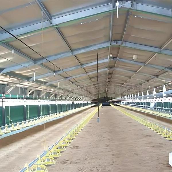 Quality Steel Industrial-Style Light Sandwich Panel Prefabricated Warehouse for Gymnasium for sale