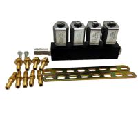 Quality 2 Ohm 3 Ohm Resistance Black LN-LIG1S LPG CNG Injector Rail For Autogas for sale