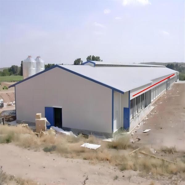 Quality Dairy Chicken Barn House Farm Building Industrial Design Style Prefab Steel Roof Structure for sale