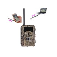 Quality SMTP GPRS PIR MMS Trail Camera Wildlife Scouting Wildgame Trail Cam for sale