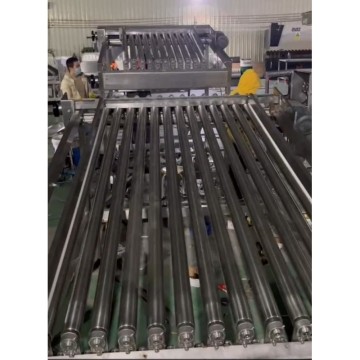 Quality High Speed Automatic Fish Sizing Machine For Grading Many Kinds Ocean Fish for sale