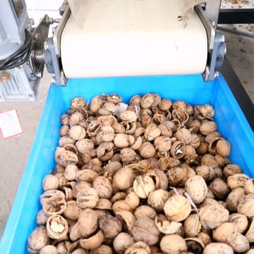 Quality Stainless Steel Food Grade Walnut Shelling Machine 380V 2 Tons Output for sale