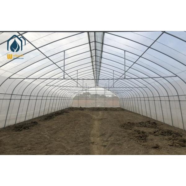 Quality Farming Metal Frame Greenhouse High Tunnel Single Span Greenhouse Customized for sale