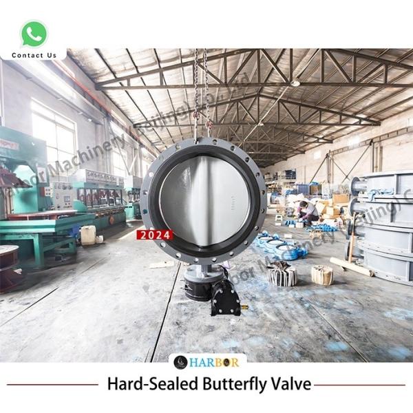 Quality Water Medium DN40-DN700 Manual Turbine Cast Steel Soft-Seal Butterfly Valve for sale