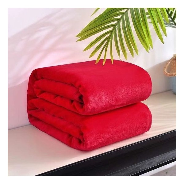 Quality Soft Printed 100% Polyester Microfiber Fleece Blanket Hotel Supplies for sale