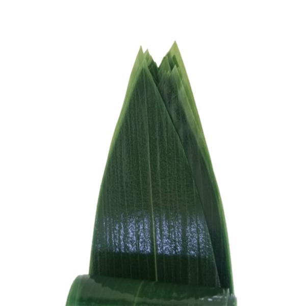 Quality Big Size Food Safe Green Bamboo Leaf For Sushi / Zongzi for sale