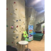 Quality Adjustable Plastic Playground Rock Wall 12m Height Eco Friendly for sale