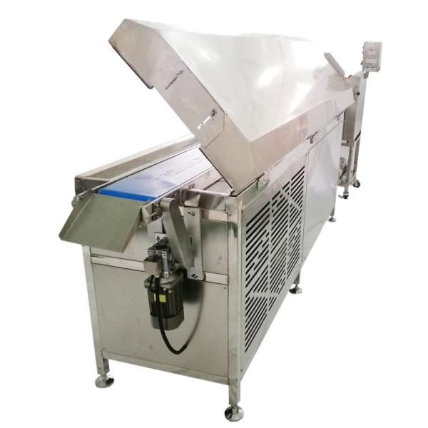 Quality CE Certificated Copeland Industrial Chocolate Cooling Tunnel Optional Food for sale