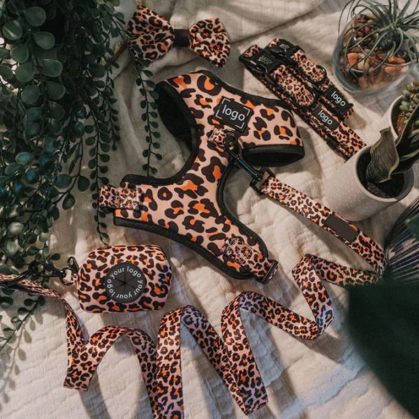 Quality Dog Vest Set No Pull Neoprene Mesh Harness Leash Collar Print Pattern Customized Logo for sale