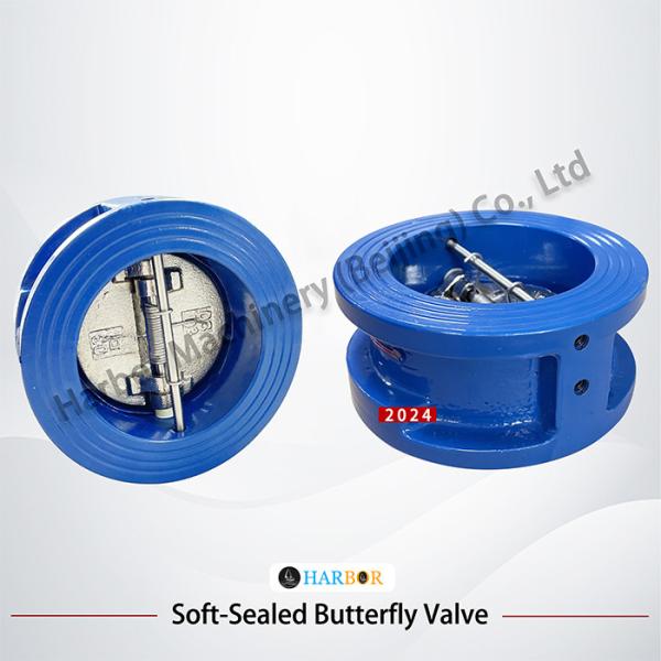 Quality Direct Supply from DH77X-10 Wafer Connection Check Valve with Cast Iron for sale
