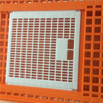 Quality Pure PE Poultry Carrier Crate Chicken Transport Cage Customized for sale