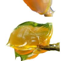 Quality NSF Approved Semi-Fluid Grease for Low-Noise Lubrication and Dustproof Advantage for sale