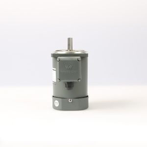 Quality IP44 750W 22Nm AC Gear Motor Without Brake for sale