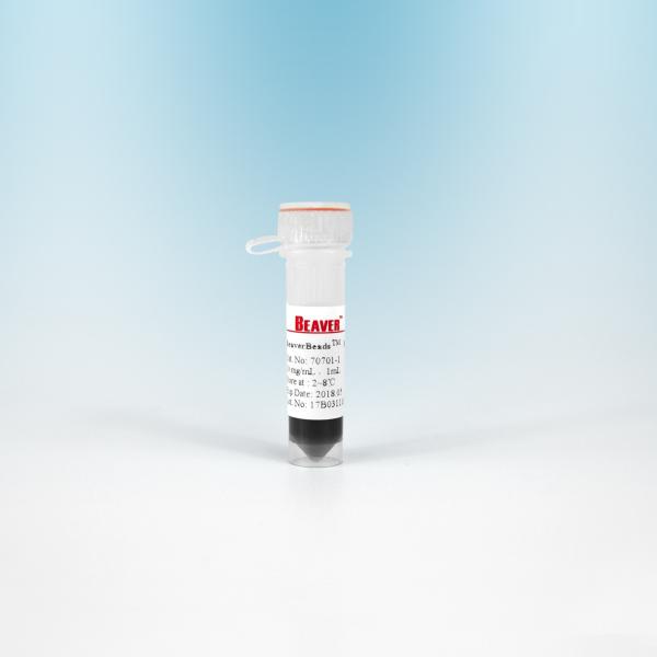 Quality NHS Magnetic Polymer Beads Preactivated N - Hydroxy Succinimide Nanoparticle 2 for sale