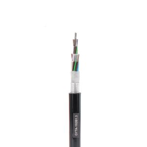 Quality APL 9mm 12 Core G652D Fiber Optic Cable For Communication for sale