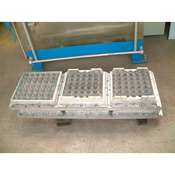 Quality Free Moulding Pulp Egg Tray Machine Heavy Weight High Effective for sale
