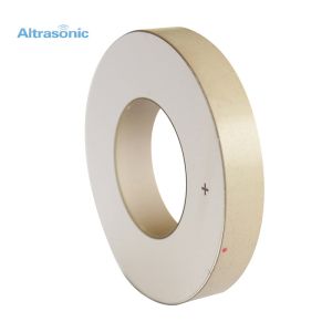 Quality Ceramic Chip for sale
