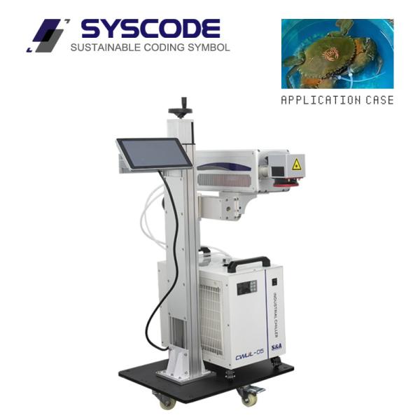 Quality 10W UV Laser Marker Desktop Design High Accuracy For Glass Engraving And Syscode for sale