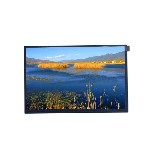Quality 10.1in  IPS LCD Display 1280x800  Tablet Ips Lcd Monitor 10.1 Ips Display ROHS for sale