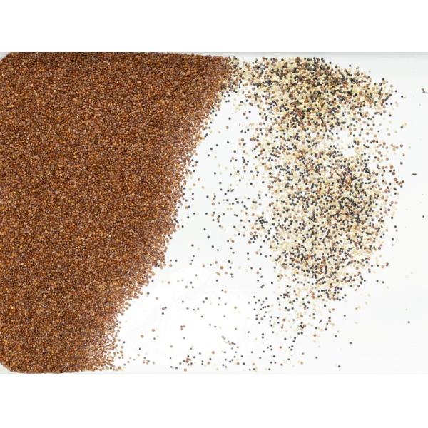 Quality Red Quinoa Optical Sorting Machine Multi Functional With Toshiba Camera for sale